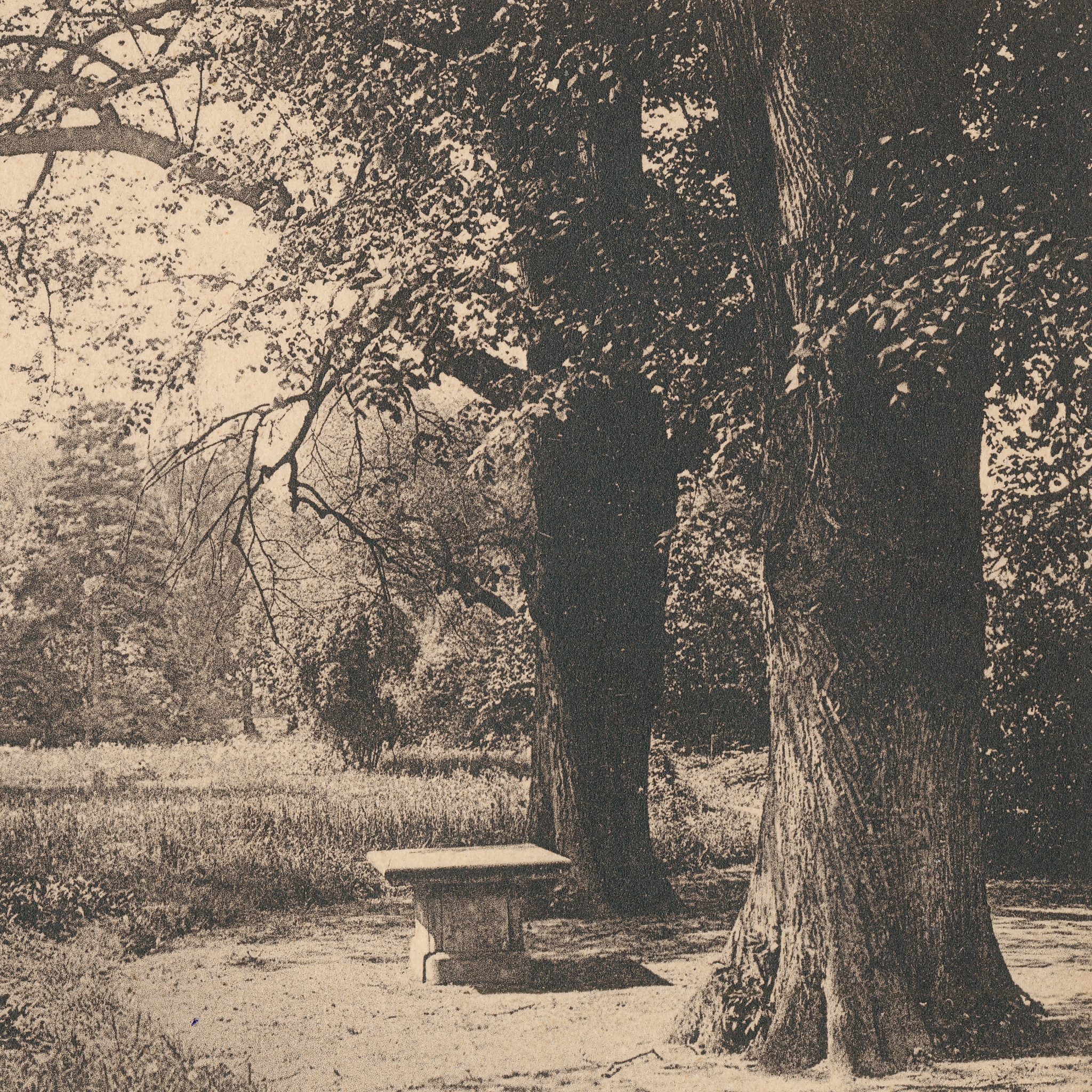 Stadt Hoya – Ansichtskarten-Hoya